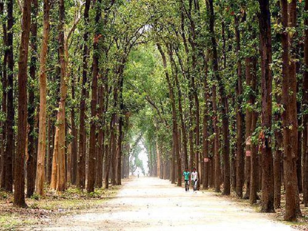Places of Interest in Gorakhpur Parks and Water Parks - Popular In India
